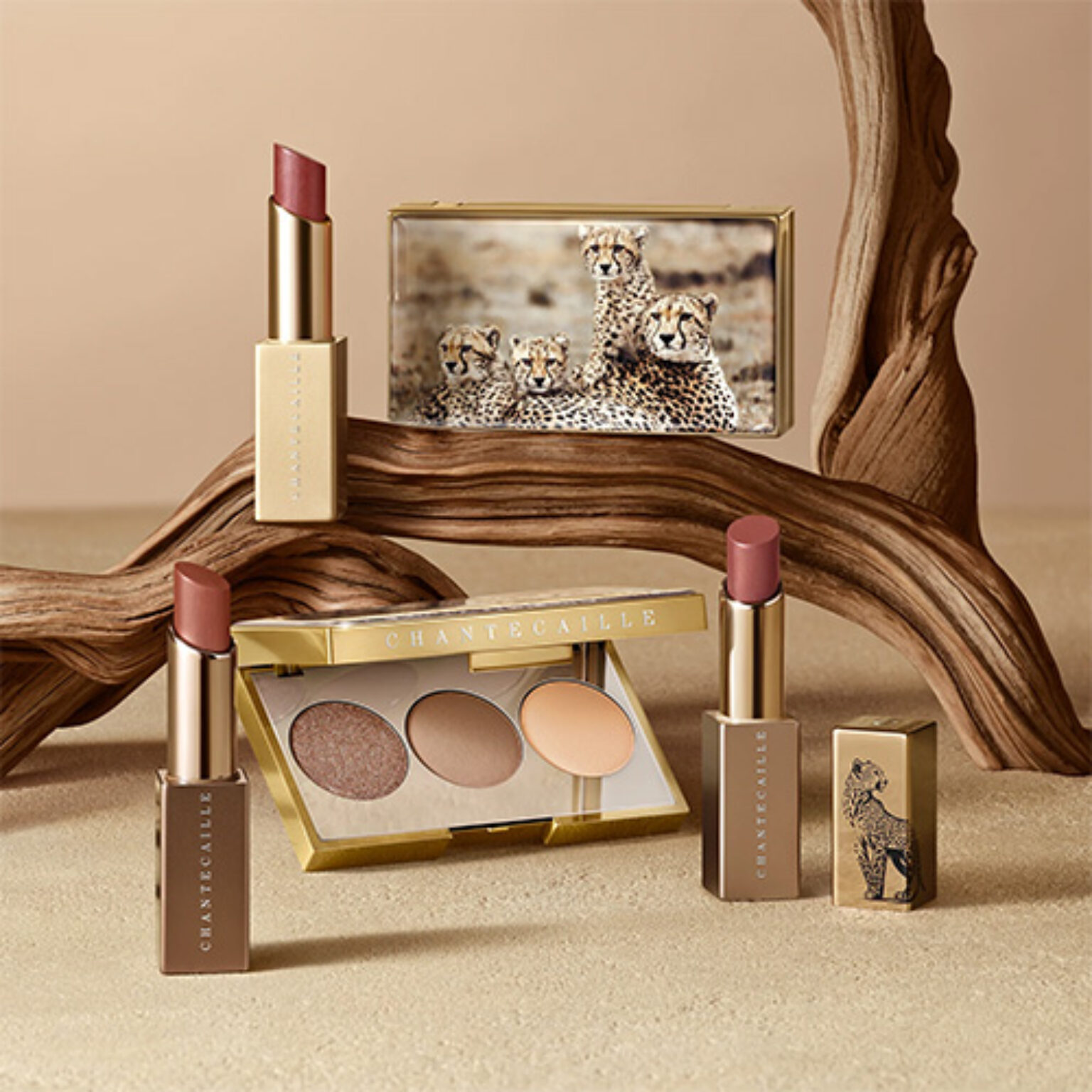 Chantecaille Cheetah Collection - Fall 2024 - jetzt in bei Douglas ...