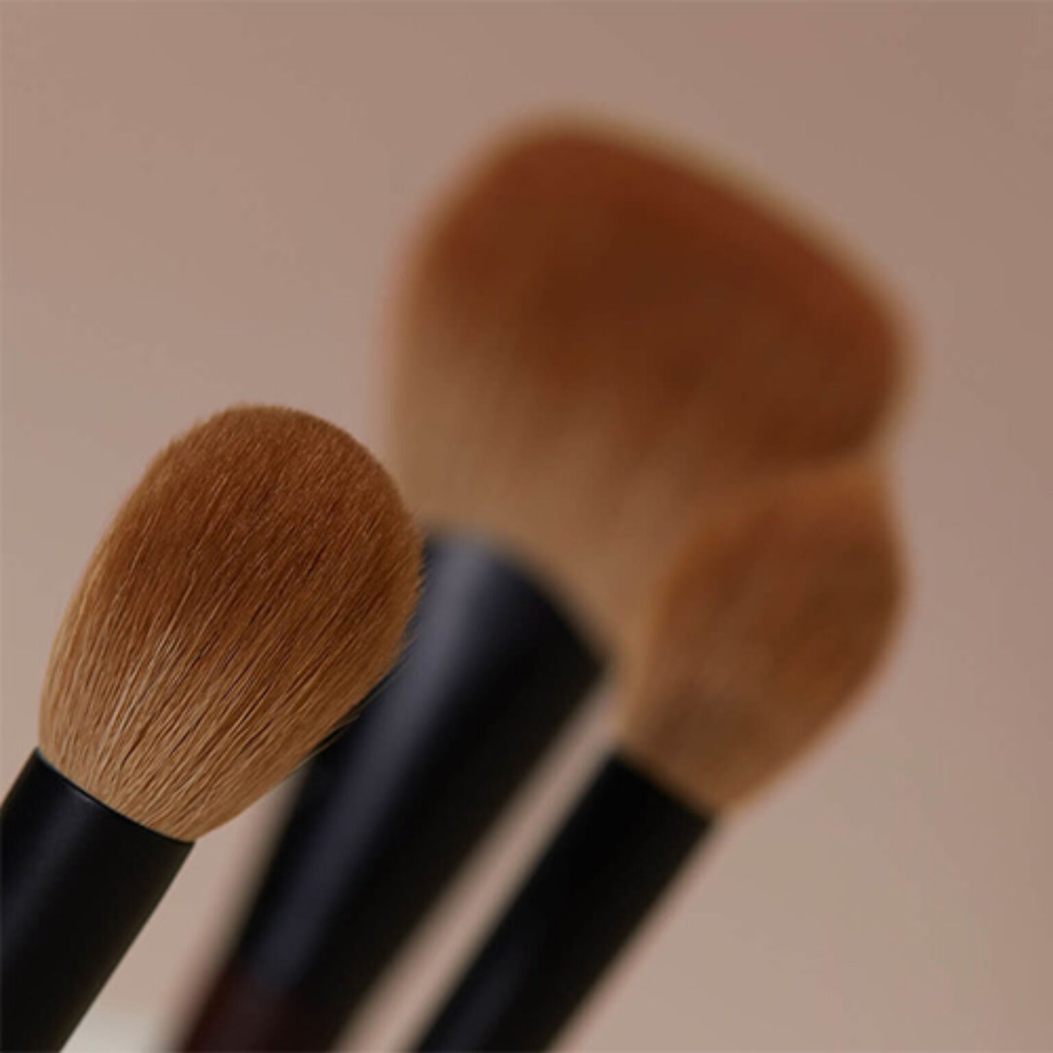 Sonia G. Traditions Series: Keyaki Kakishibu Face - jetzt erhältlich ⋆